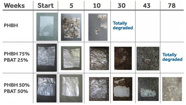 Biodegradability: Understanding Kaneka Green Planet® - Kaneka Green ...