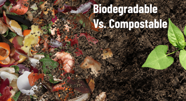 Understanding the Difference Between Biodegradable and Compostable ...